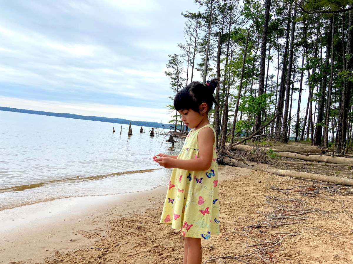 exploring dolde beach @ jordan lake | Home